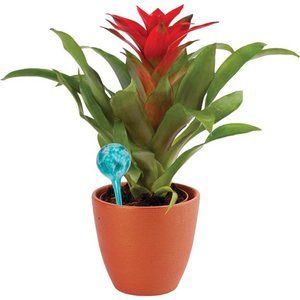 Other | 3piece Mini Watering Globe Set Colorful Handblown Glass Plant ...
